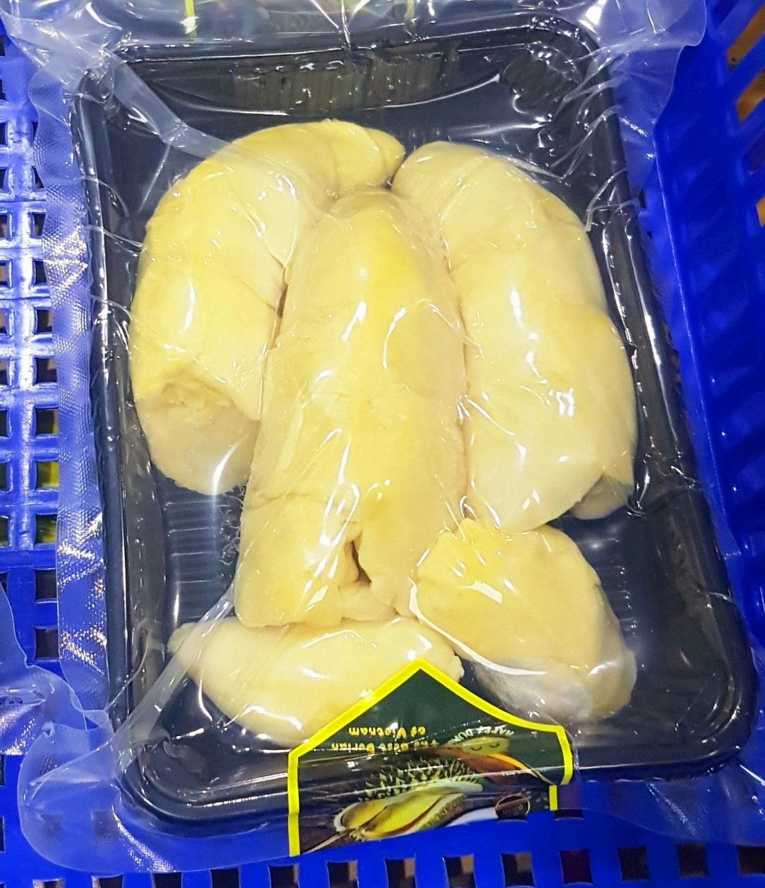 Frozen Durian Seedless - AGROGREEN VIETNAM
